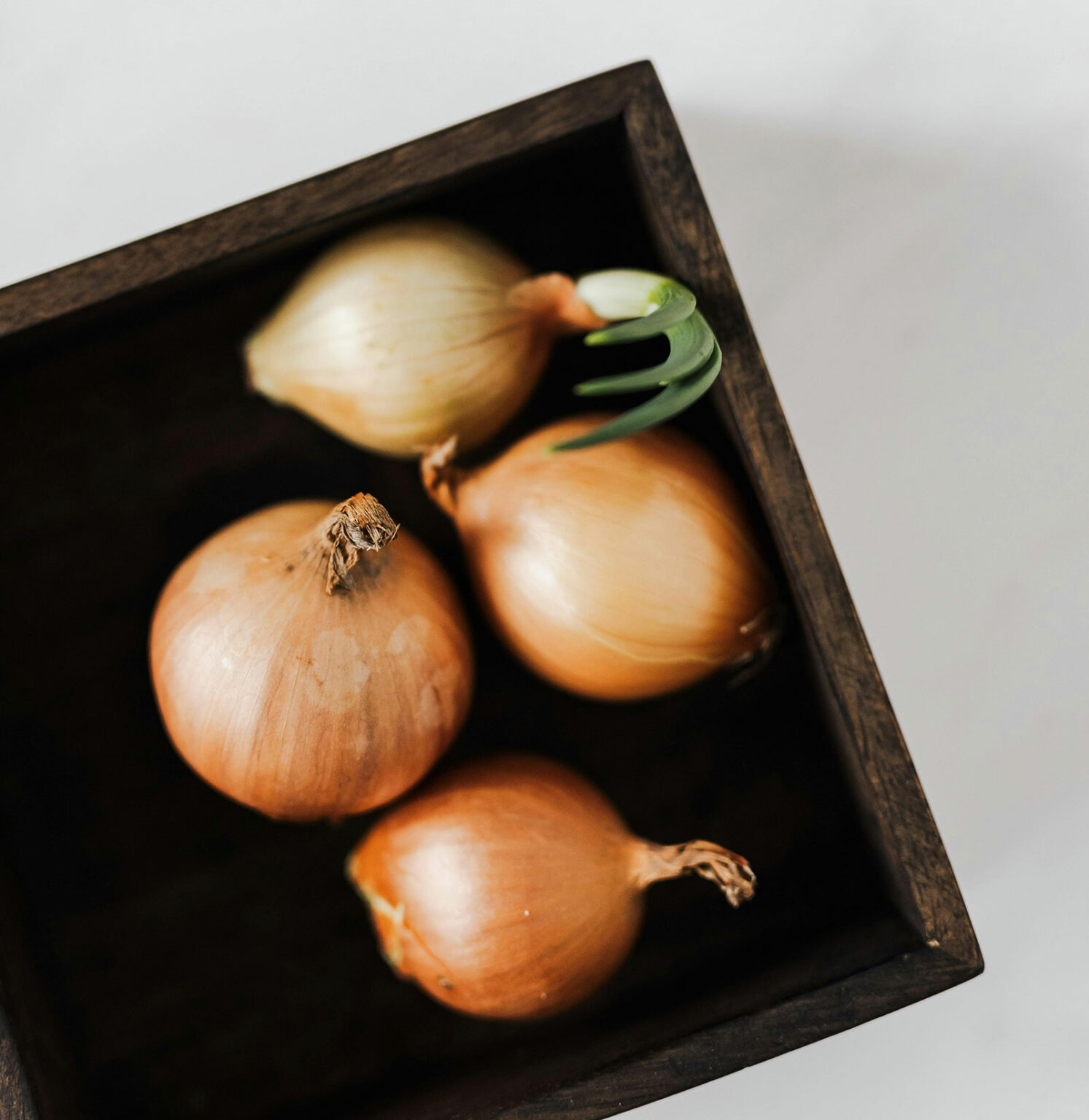 Onion Varieties: A Cross-Cultural Journey